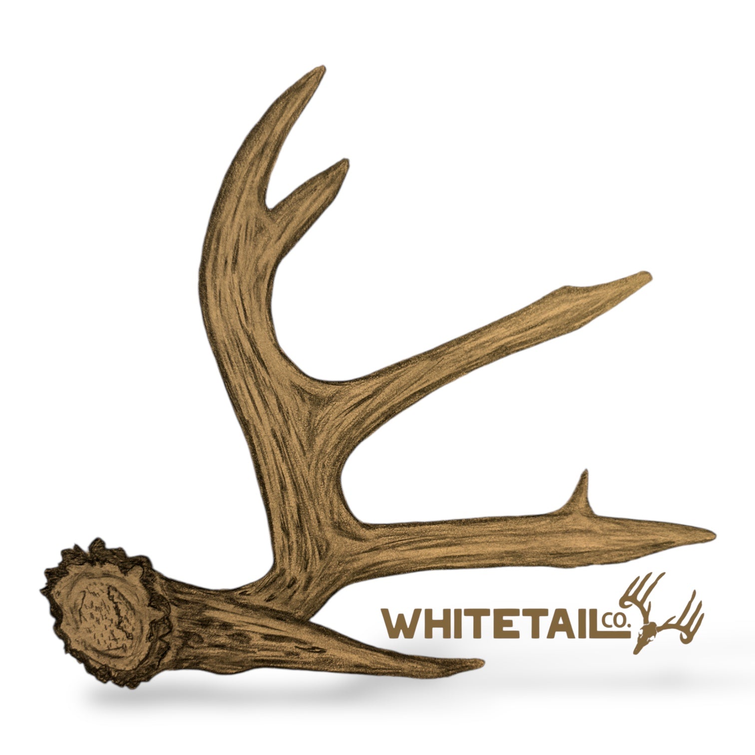 BUFF Buck / Wally BUFF Collection – Whitetail Company